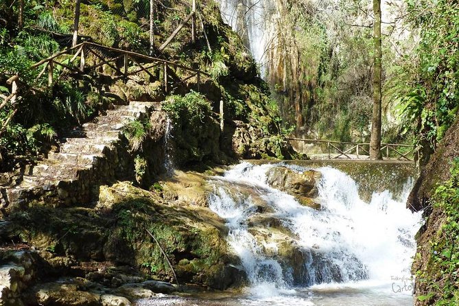 Private Tour: Amalfi Valle Delle Ferriere Nature Reserve Walking Tour - Feedback From Satisfied Travelers