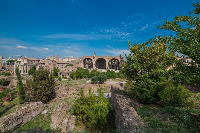 Private Tour: Ancient Rome Half-Day Walking Tour With Arena Entrance and Piazze - Accessibility and Requirements
