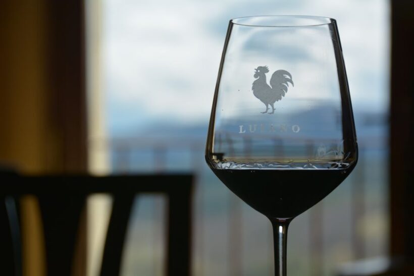 Private Tour and Wine Tasting at Castle Wineries in Chianti - The Sum Up
