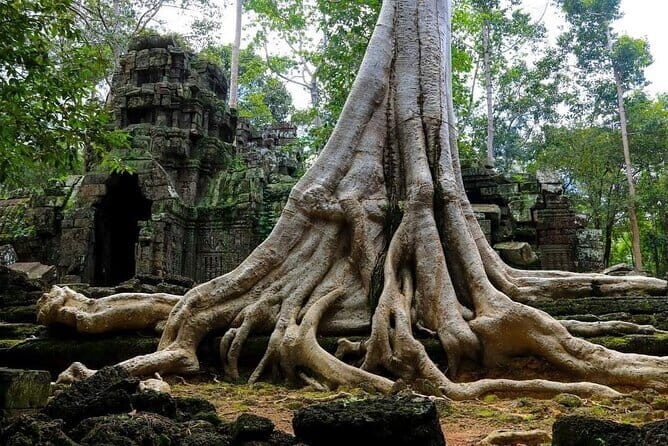 Private Tour-Angkor Complex Discovery - What to Expect from the Tour Experience