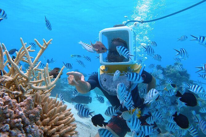 Private Tour: Aqua Safari Scuba Diving - What Makes This Tour Stand Out?