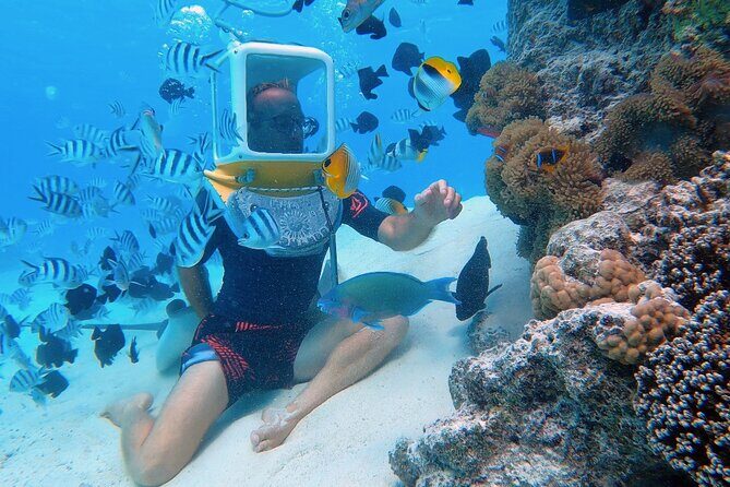 Private Tour: Aqua Safari Scuba Diving - Who Would Love This Experience?