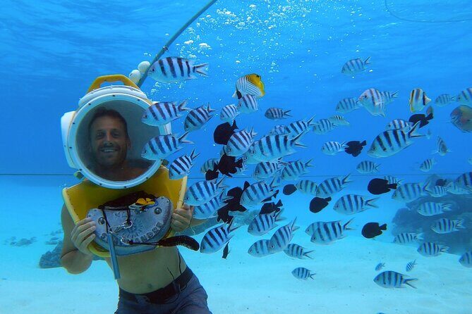 Private Tour: Aqua Safari Scuba Diving - Final Thoughts: Is It Worth It?