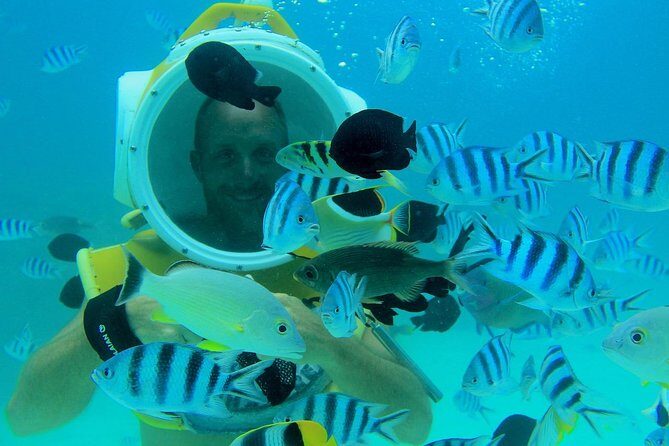 Private Tour: Aqua Safari Scuba Diving - FAQ