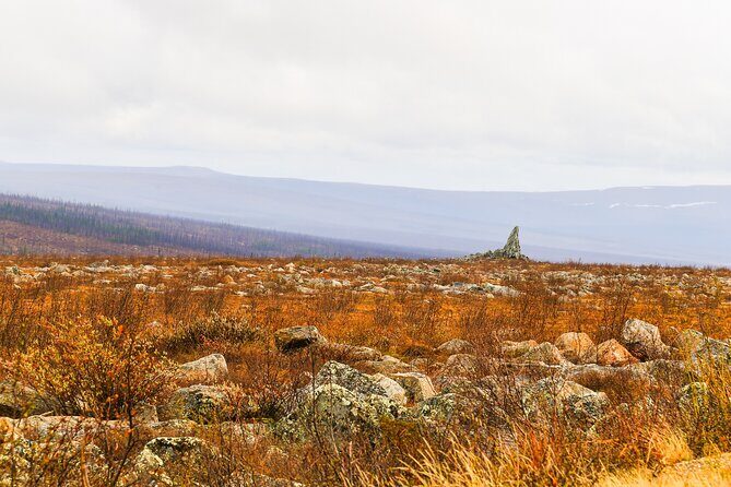 Private Tour Arctic Circle Expedition from Fairbanks - Exploring the Itinerary