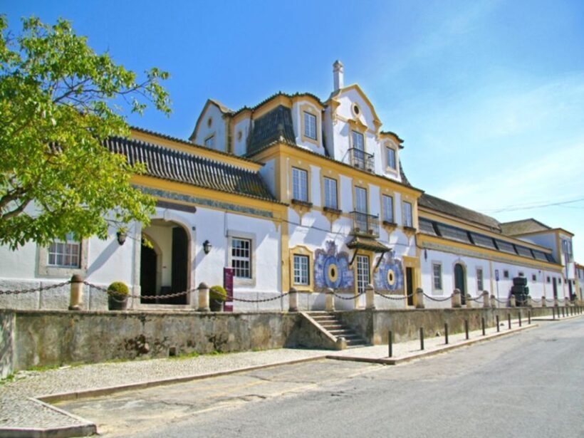 Private Tour - Arrábida & Azeitão Wine Region - An In-Depth Look at the Arrábida & Azeitão Experience