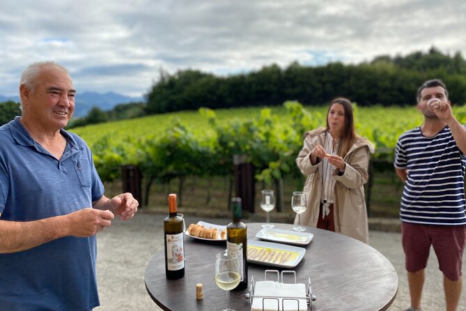 Private Tour at a Family Winery and Basque Coast Route - Booking Information