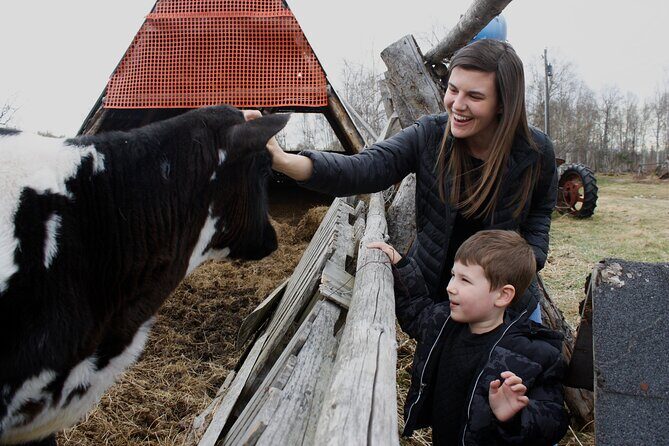 Private Tour at Historic Alaska Dairy Farm - Experience a Real Working Dairy Farm in Alaska