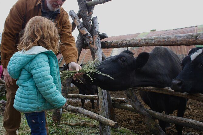 Private Tour at Historic Alaska Dairy Farm - A Genuine Taste of Alaska Farm Life