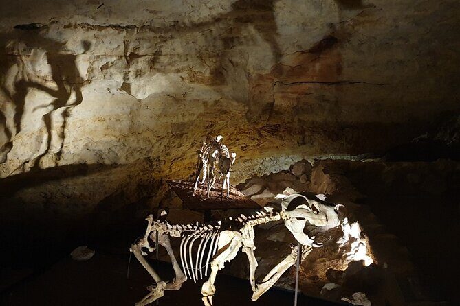 Private Tour at Naracoorte Caves - A Detailed Look at the Private Tour at Naracoorte Caves