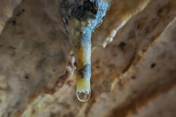 Private Tour at Naracoorte Caves - The Logistics: Comfort, Timing, and Value