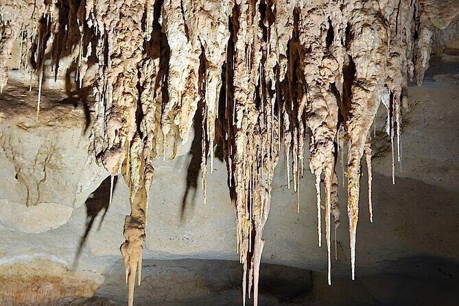 Private Tour at Naracoorte Caves - Final Thoughts: Is It Worth It?