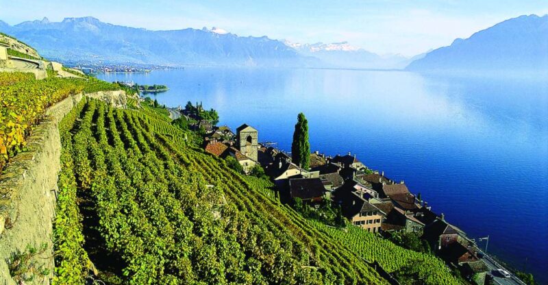 Private Tour at Swiss Riviera From Geneva - Drive Through Vaud Countryside