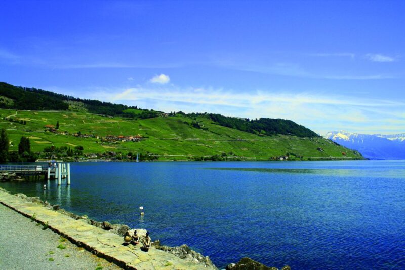Private Tour at Swiss Riviera From Geneva - Lavaux UNESCO Vineyard Terraces
