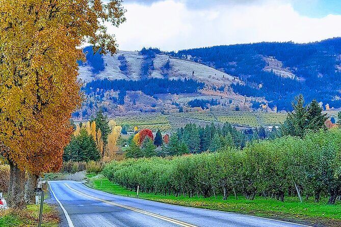 Private Tour at The Hood-Columbia Loop: Timberline, Orchards, and Waterfalls - The Sum Up