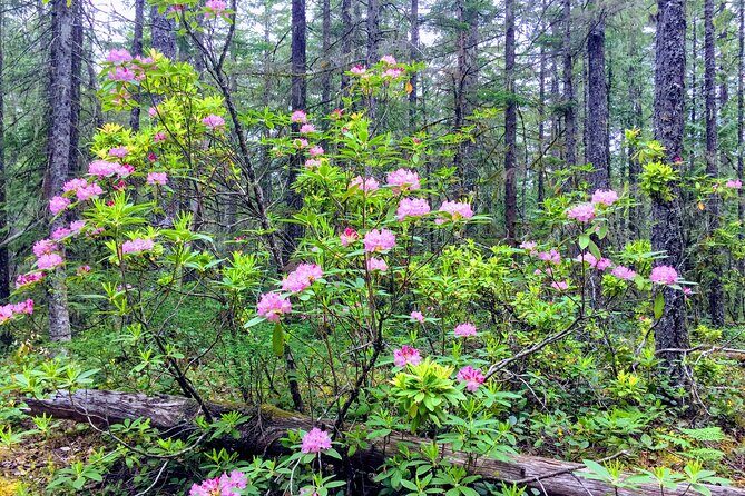 Private Tour at The Hood-Columbia Loop: Timberline, Orchards, and Waterfalls - FAQ
