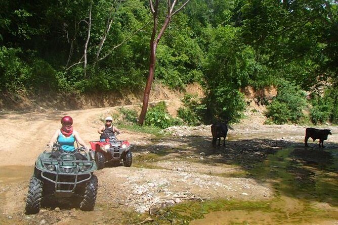 Private Tour: ATV SIERRA MADRE rivers with Tequila Tasting - Practical tips for travelers