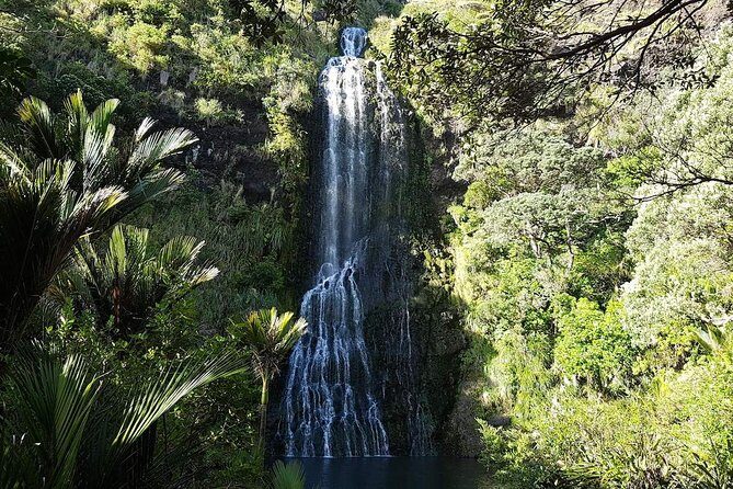 Private Tour: Auckland City and Countryside Tour - Final Thoughts