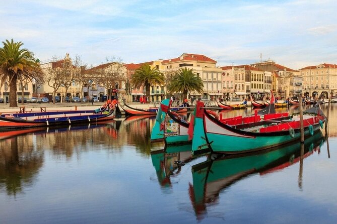Private Tour: Aveiro and Coimbra with Lunch and Boat Cruise - Lunch: A Taste of Portugal