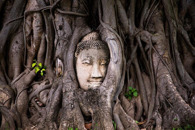 Private Tour: Ayutthaya Day Trip with Boat tour - Why Choose This Ayutthaya Tour?