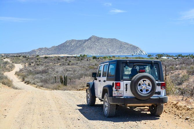 Private Tour Baja Jeep 4x4 Adventure at Los Cabos - Exploring the Baja Wilderness: A Review of the Private Jeep 4x4 Adventure from Los Cabos