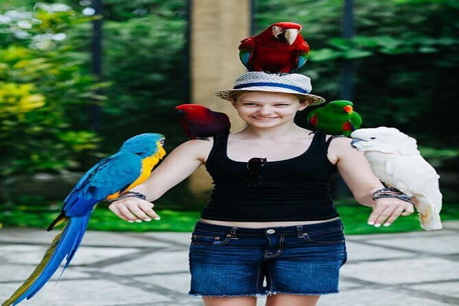 Private Tour Bali Bird Park And Ubud Tour - Exploring the Itinerary: What to Expect and Why It Matters