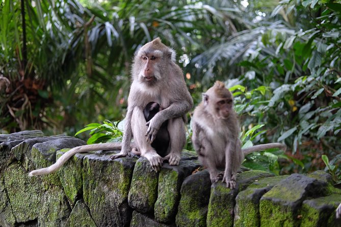 Private Tour: Bali in a Day - A Deep Dive into the Itinerary