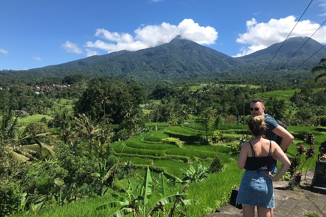 Private Tour: Bali Temple and Countryside Tour - Transportation, Flexibility, and Overall Value