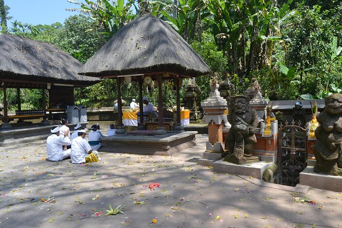 Private Tour: Bali Temple and Countryside Tour - Final Thoughts