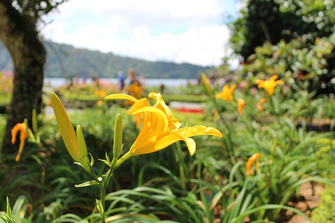 Private Tour: Bali Temples, Hidden Waterfall and Handara Gate - FAQ