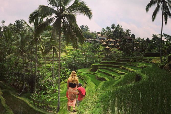 Private Tour: Balinese Culture and Scenery (visit ubud area) - Real Traveler Insights