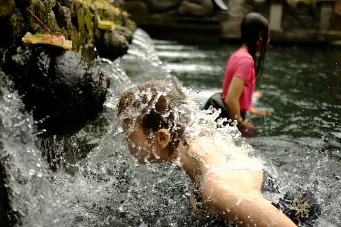 Private Tour: Balinese Culture and Scenery (visit ubud area) - Who Will Love This Tour?