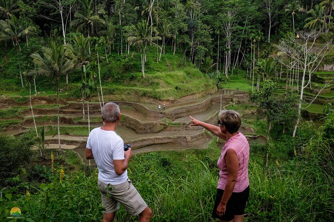Private Tour: Balinese Culture and Scenery (visit ubud area) - Final Thoughts: Is This Tour Right for You?