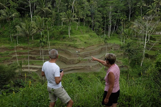 Private Tour: Balinese Culture and Scenery (visit ubud area) - FAQ