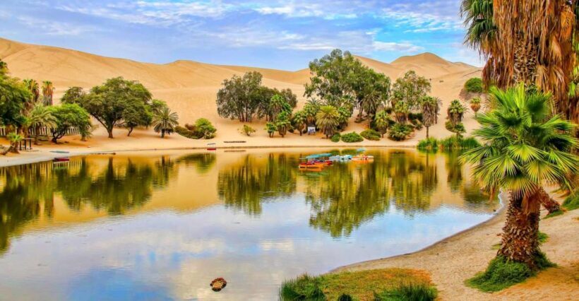 Private Tour: Ballestas Island & Huacachina Oasis, from Lima - Key Points