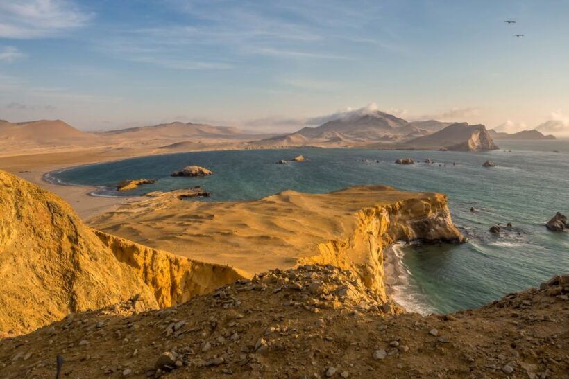 Private Tour: Ballestas Island & Huacachina Oasis, from Lima - Final Thoughts