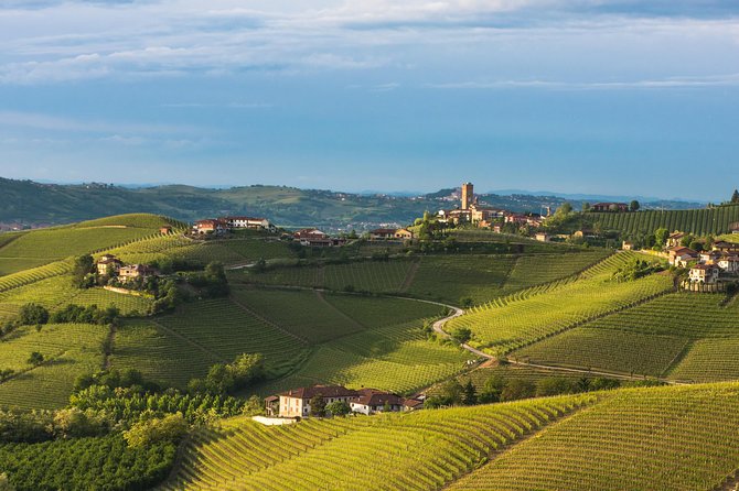 Private Tour: Barolo Wine Tasting in Langhe Area From Torino - Inclusions