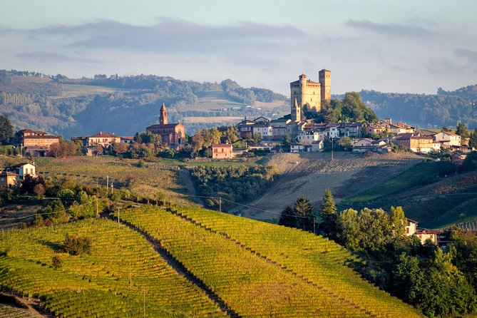 Private Tour: Barolo Wine Tasting in Langhe Area From Torino - Exploring the Hamlet of Barolo