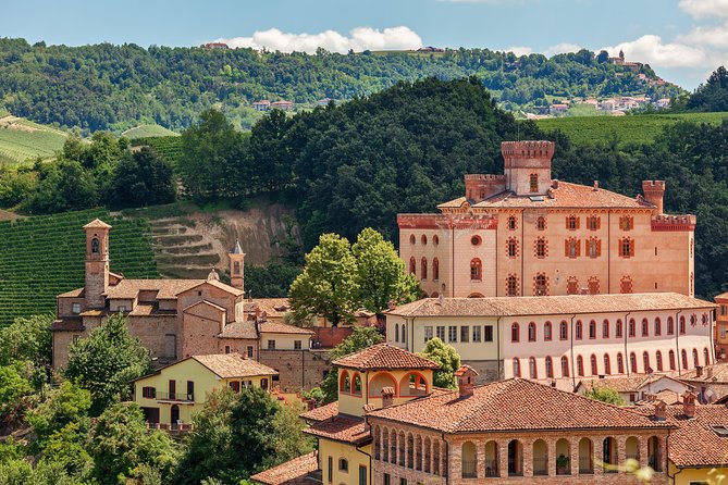 Private Tour: Barolo Wine Tasting in Langhe Area From Torino - Visiting Marchesi Di Barolo Winery