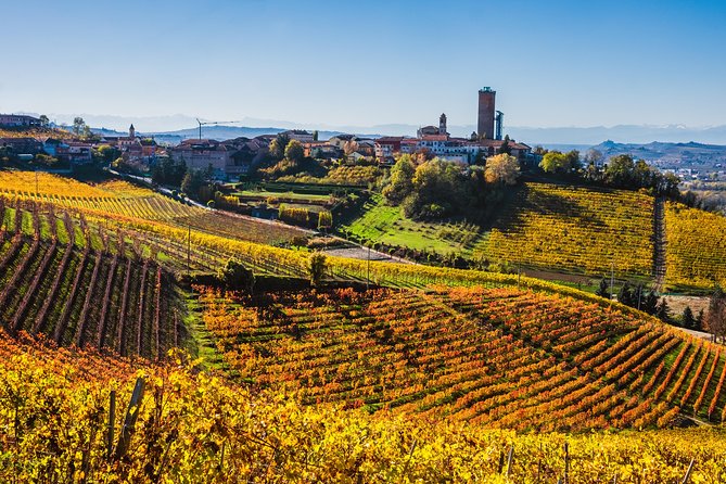 Private Tour: Barolo Wine Tasting in Langhe Area From Torino - Enjoying the Views at Belvedere Di La Morra
