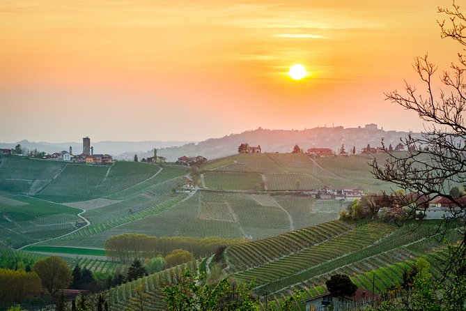 Private Tour: Barolo Wine Tasting in Langhe Area From Torino - Tasting Wines at Montezemolo Winery