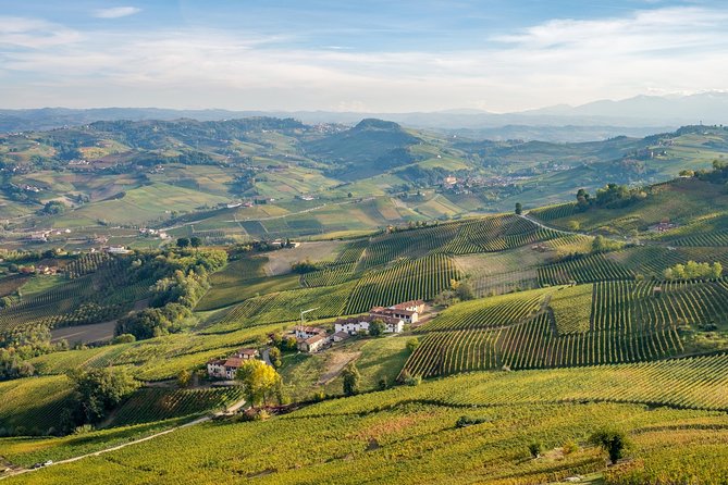 Private Tour: Barolo Wine Tasting in Langhe Area From Torino - Gourmet Lunch at La Morra