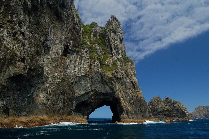 Private Tour: Bay of Islands Day Trip from Auckland - In-Depth Look at the Experience
