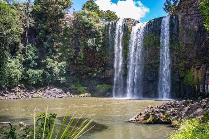 Private Tour: Bay of Islands Day Trip from Auckland - FAQs