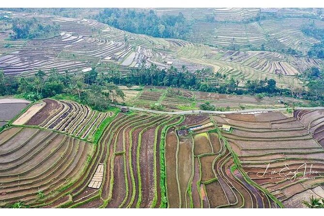 Private Tour Bedugul Temple-Jatiluwih-Taman Ayun&Tanah Lot Sunset - Frequently Asked Questions