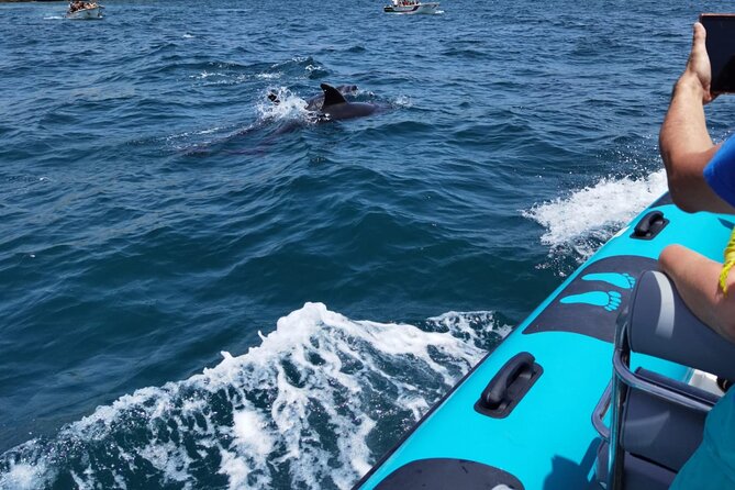 Private Tour Benagil Caves From Portimao - Inclusions and Requirements