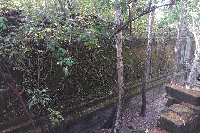 Private Tour: Beng Mealea Jungle Temple, Lolei and Bakong temple - An In-Depth Look at the Itinerary