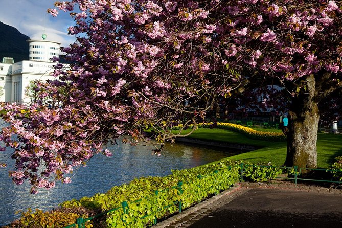 PRIVATE TOUR: Bergen City Sightseeing, 3 Hours - Tour Experience and Guide