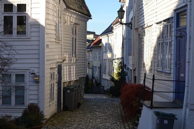 PRIVATE TOUR: Bergen City Sightseeing, 3 Hours - Guest Testimonials