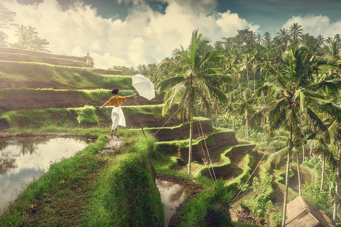 Private Tour: Best of Bali - All Inclusive Tickets - Who Will Love This Tour?